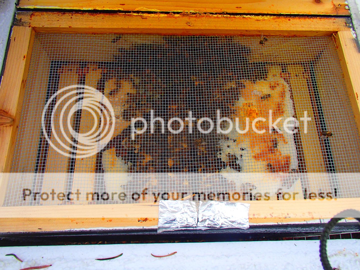 How I plan on overwintering 40 mating nucs on mini frames | Page 3 | Beesource Beekeeping Forums